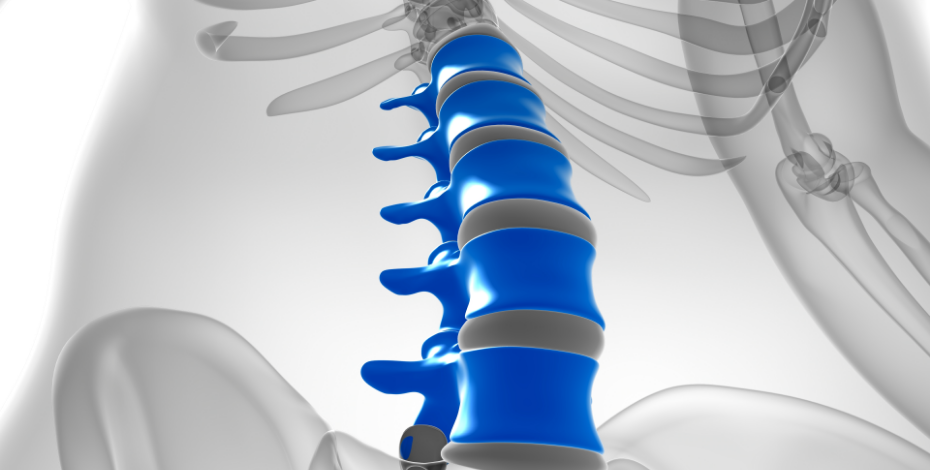 APA | Electrical stimulation of very weak muscles in spinal cord injury